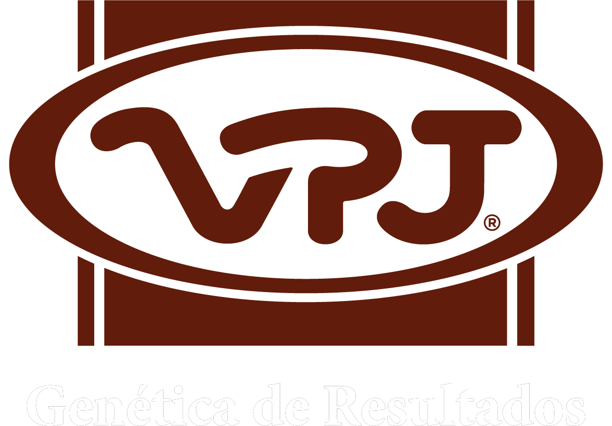 Home - VPJ Pecuária